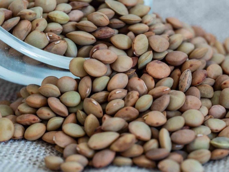 Lentilha é versátil e nutritiva