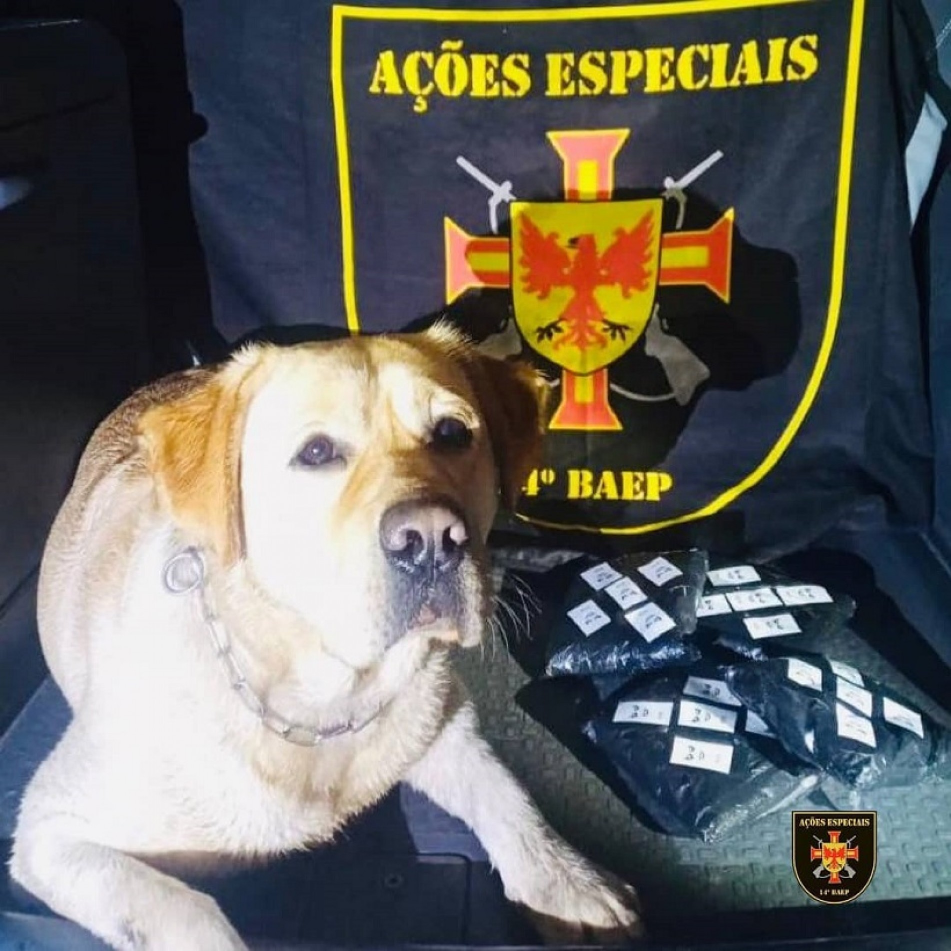 Em um ano, 14º Baep deteve 270 pessoas na região de Sorocaba