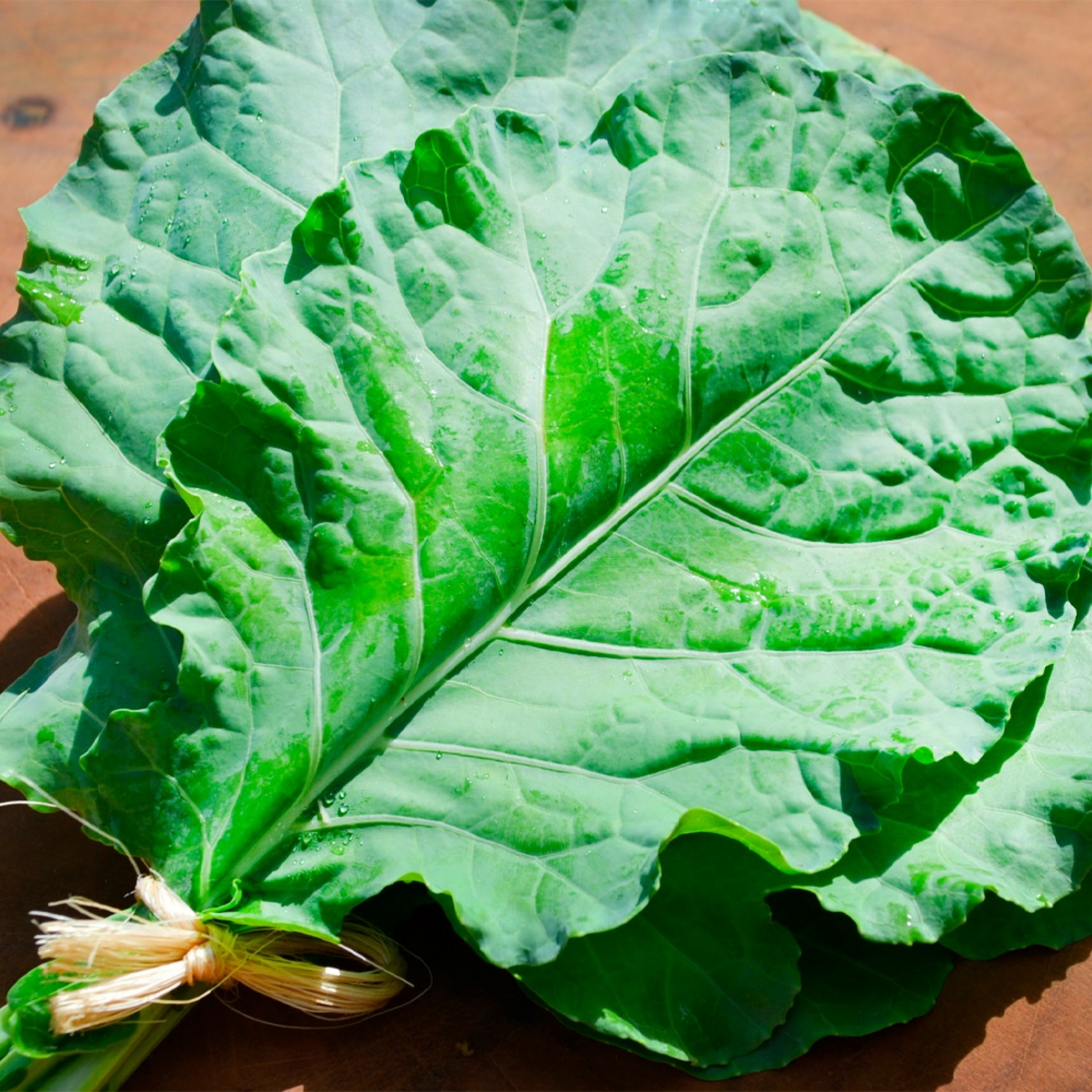 Couve está com preço bom