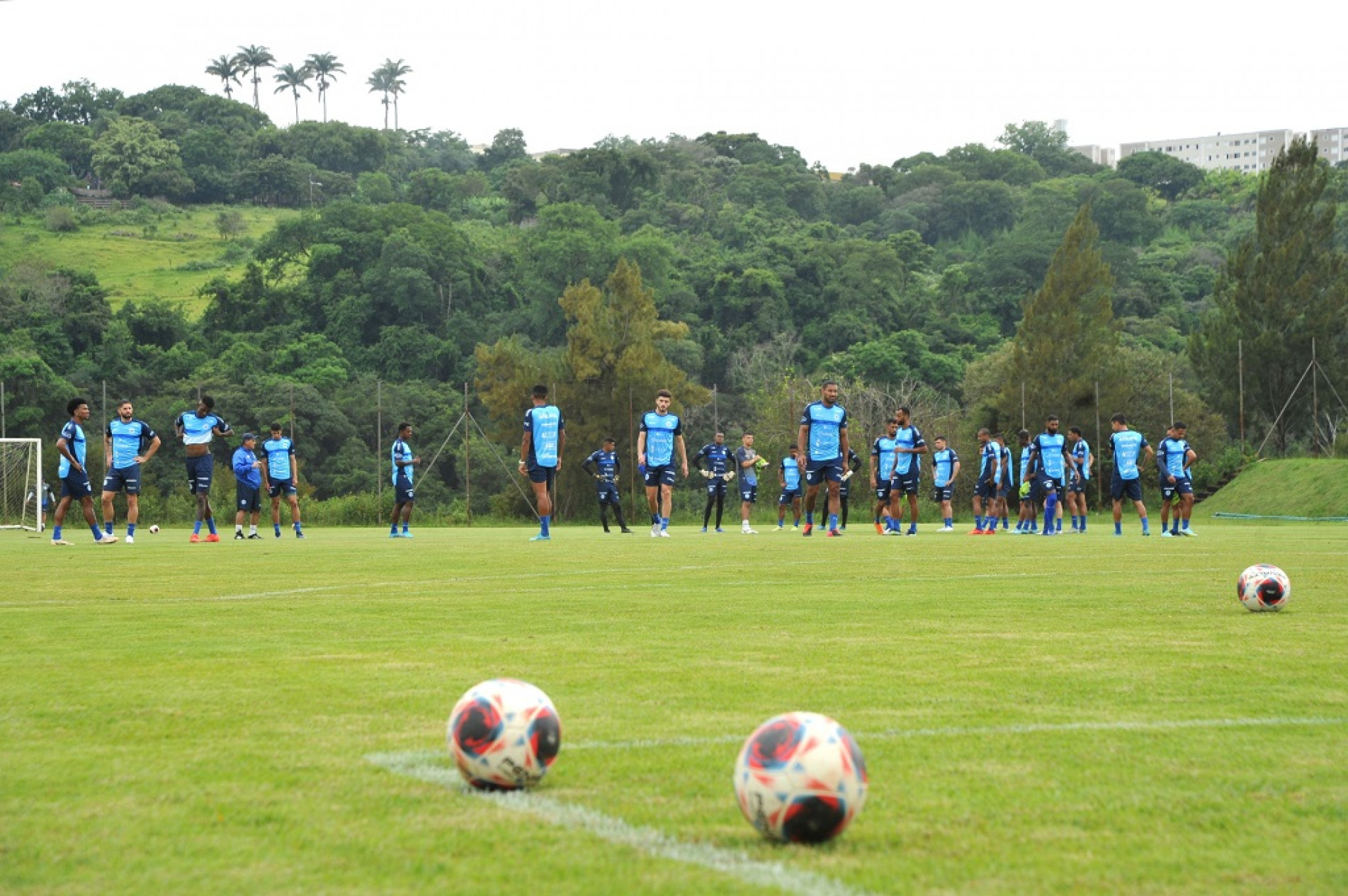São Bento estreia neste sábado (14) no Paulistão contra o Palmeiras, em ...