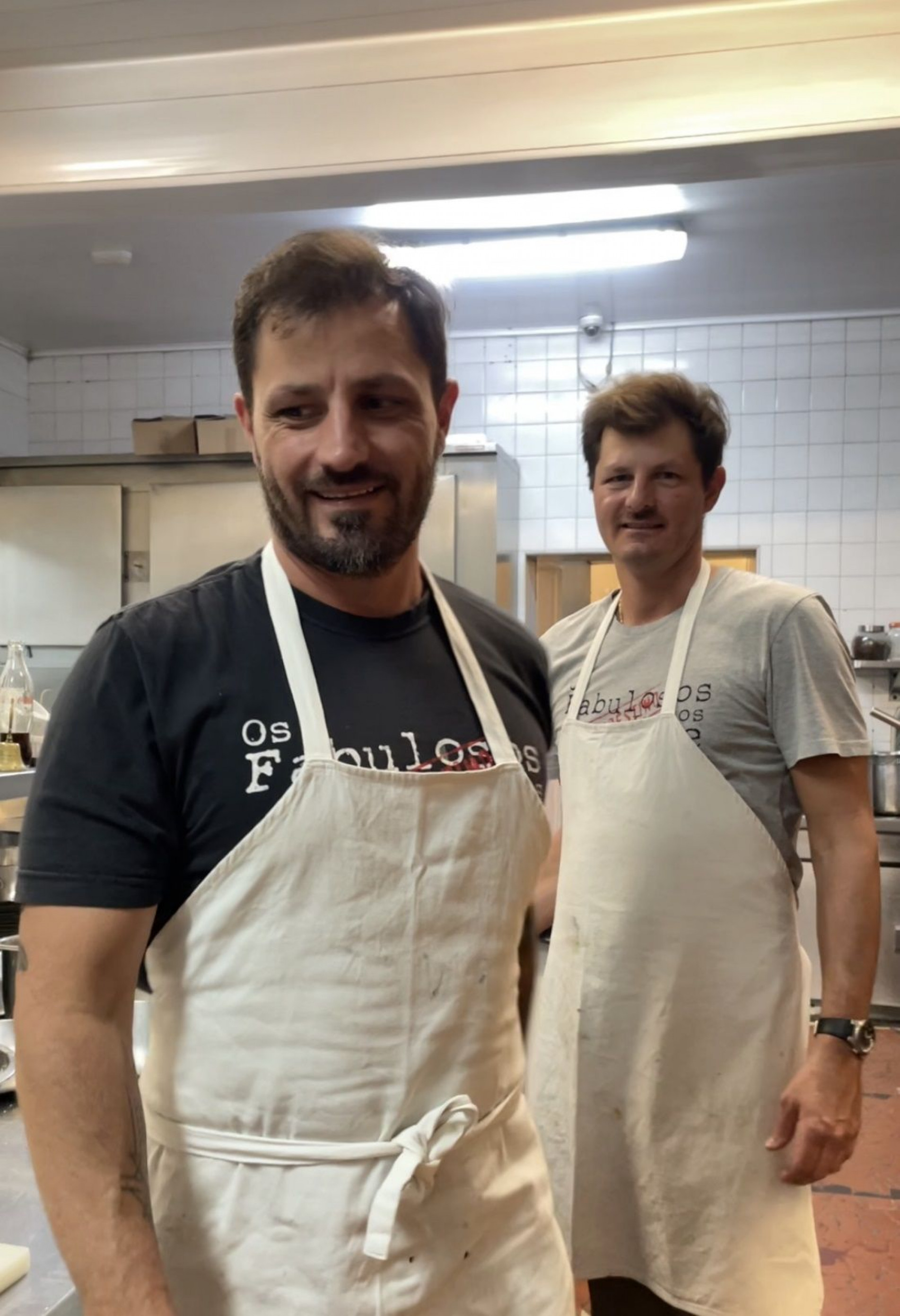 É tempo de colheita de uva