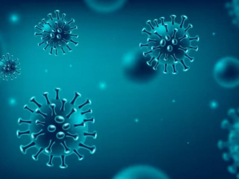 Nova variante Arcturus da Covid-19 já circula no Brasil; conheça os ...