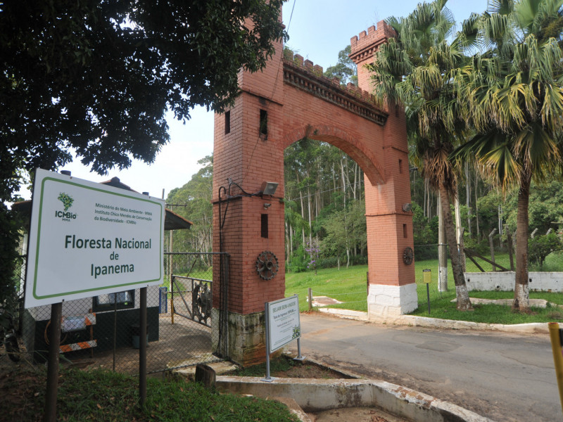 Flona tem atividades para crianças durante as férias escolares