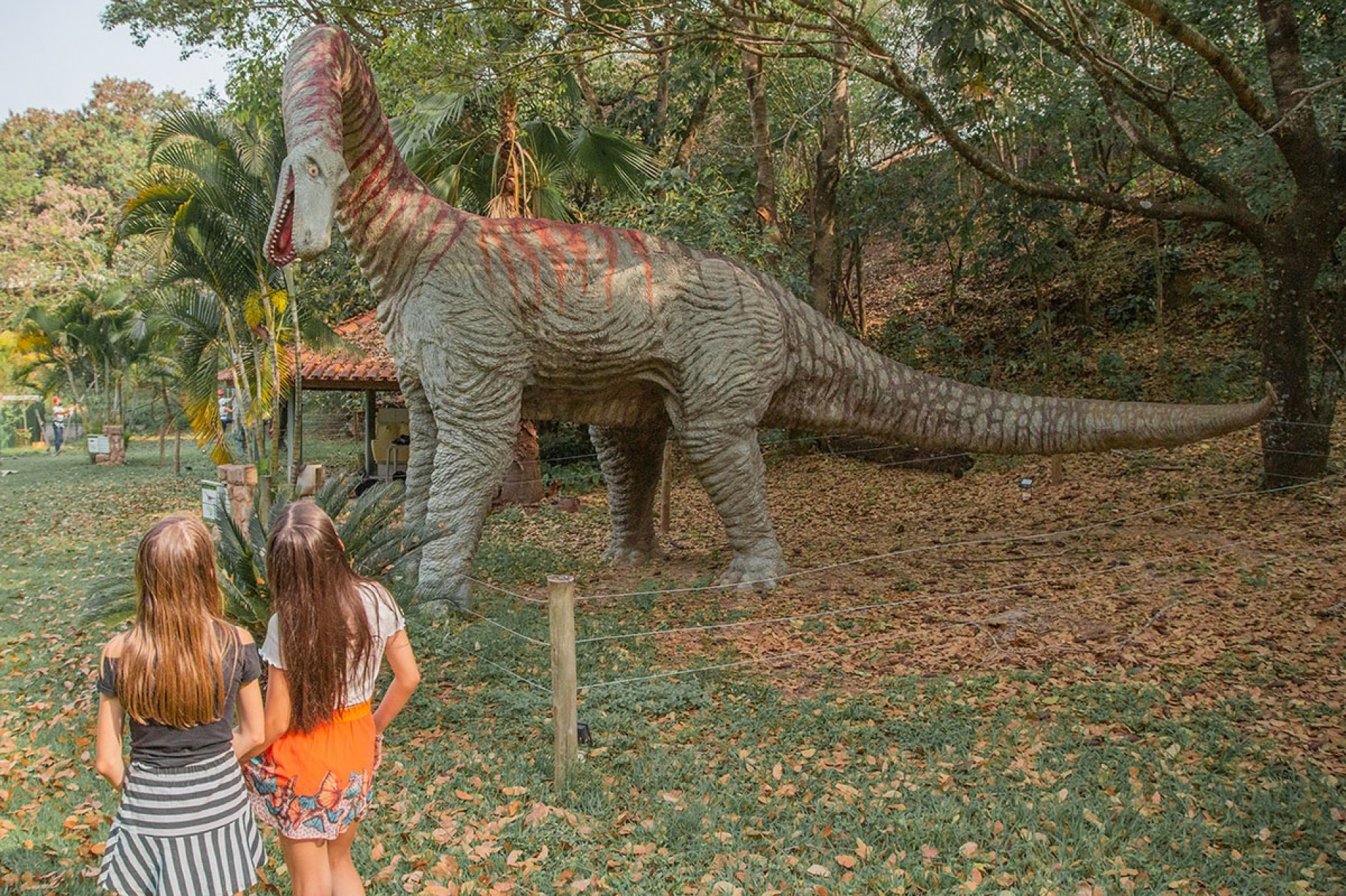 Parques temáticos na RMS ‘expõem’ dinossauros